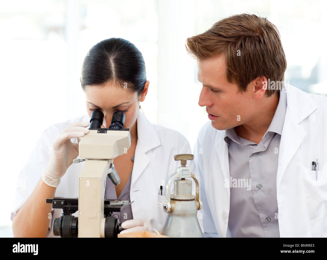 Scientists looking through a microscope Stock Photo - Alamy