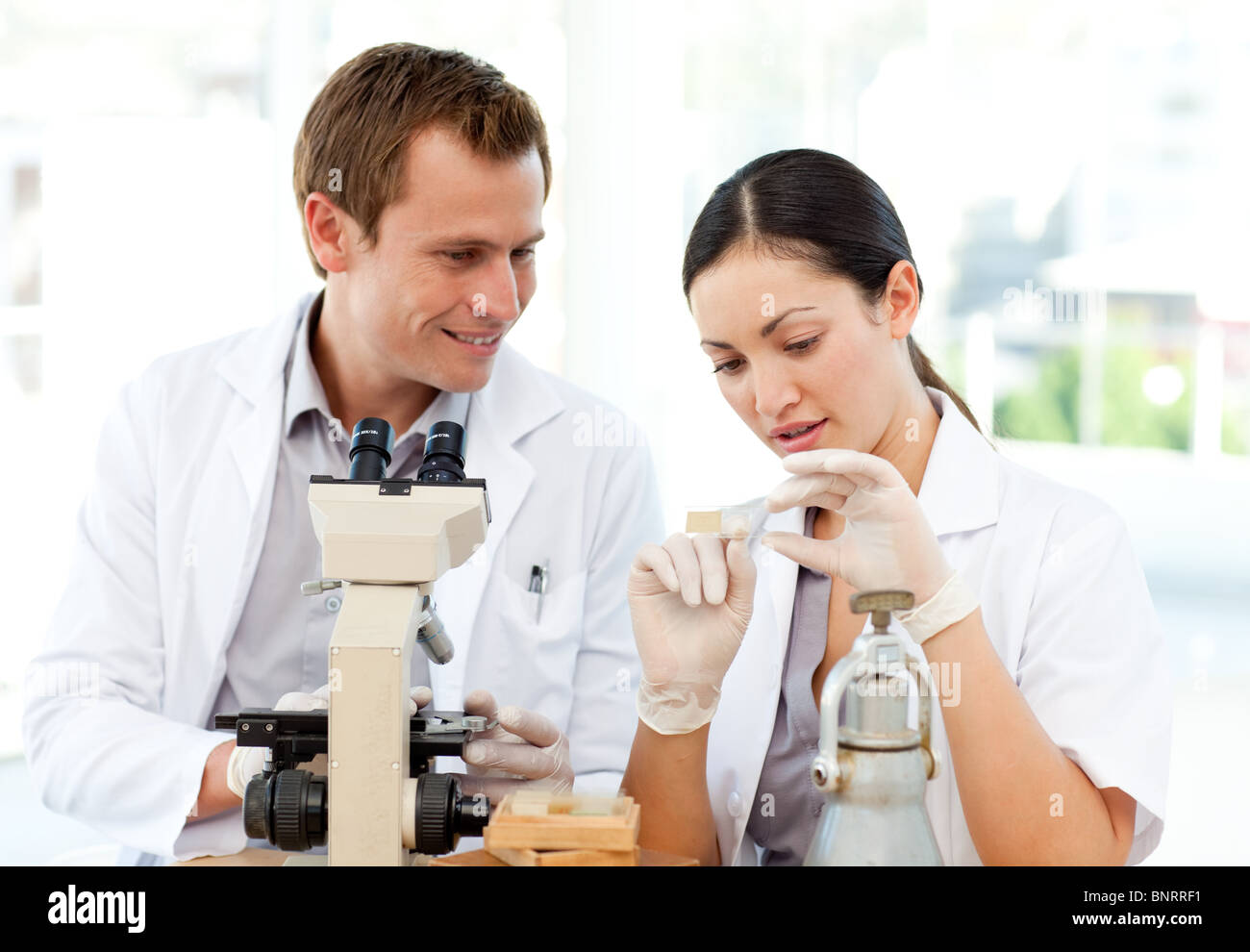 Scientists studying a slide under a microscope Stock Photo - Alamy