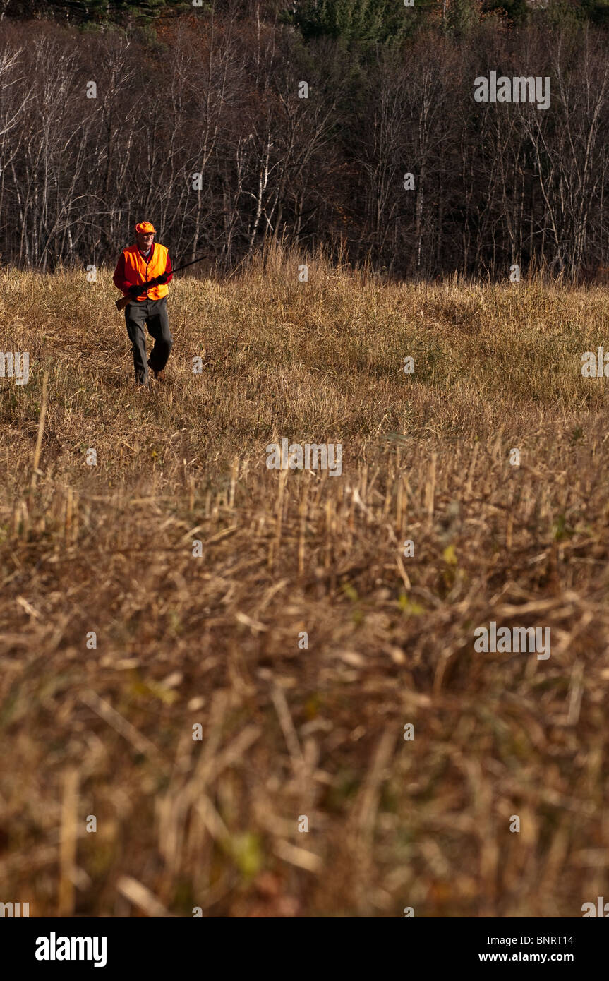 Older man bird hunting in a field Stock Photo - Alamy