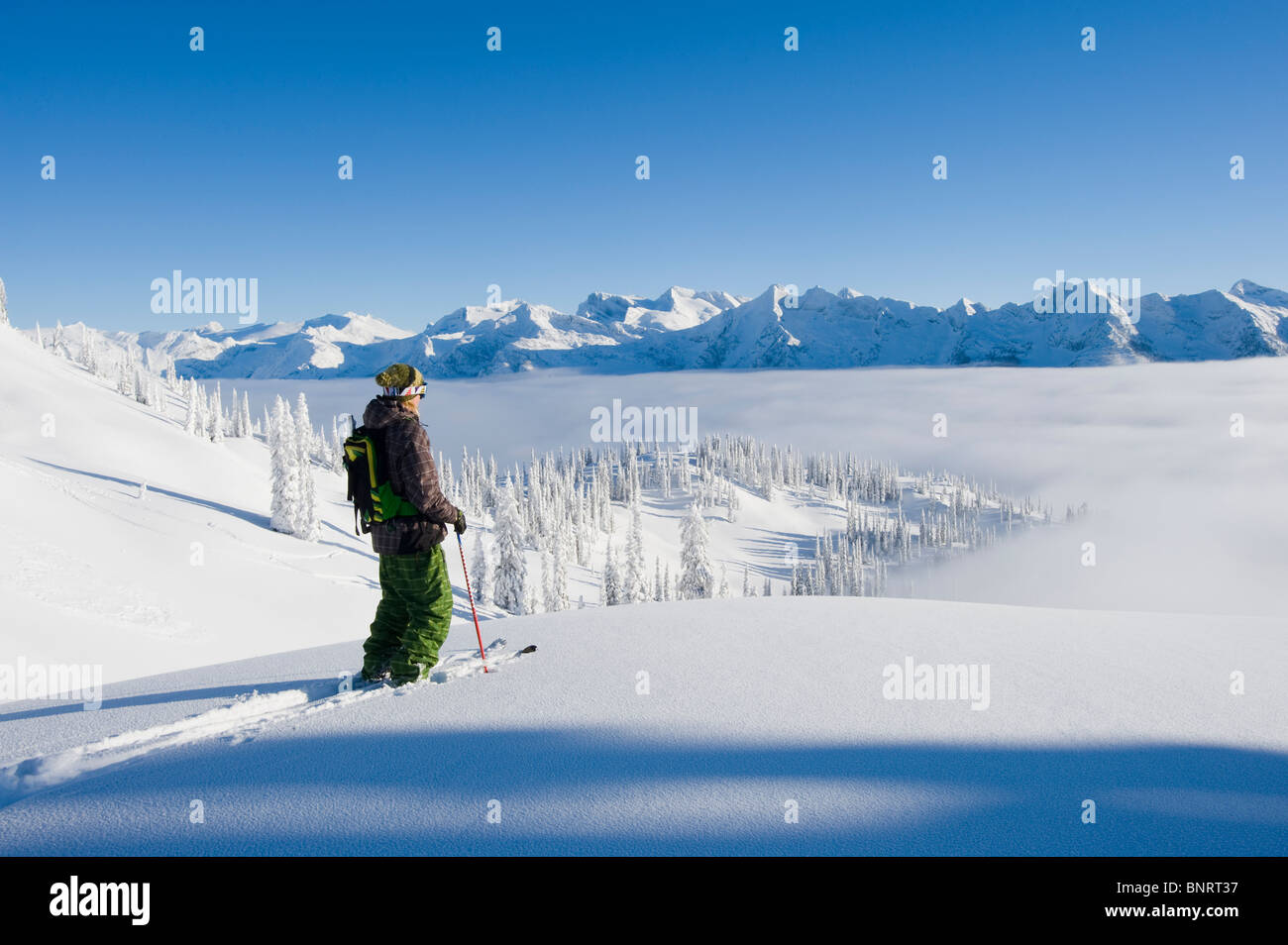 Man traversing on skis, BC, Canada Stock Photo - Alamy