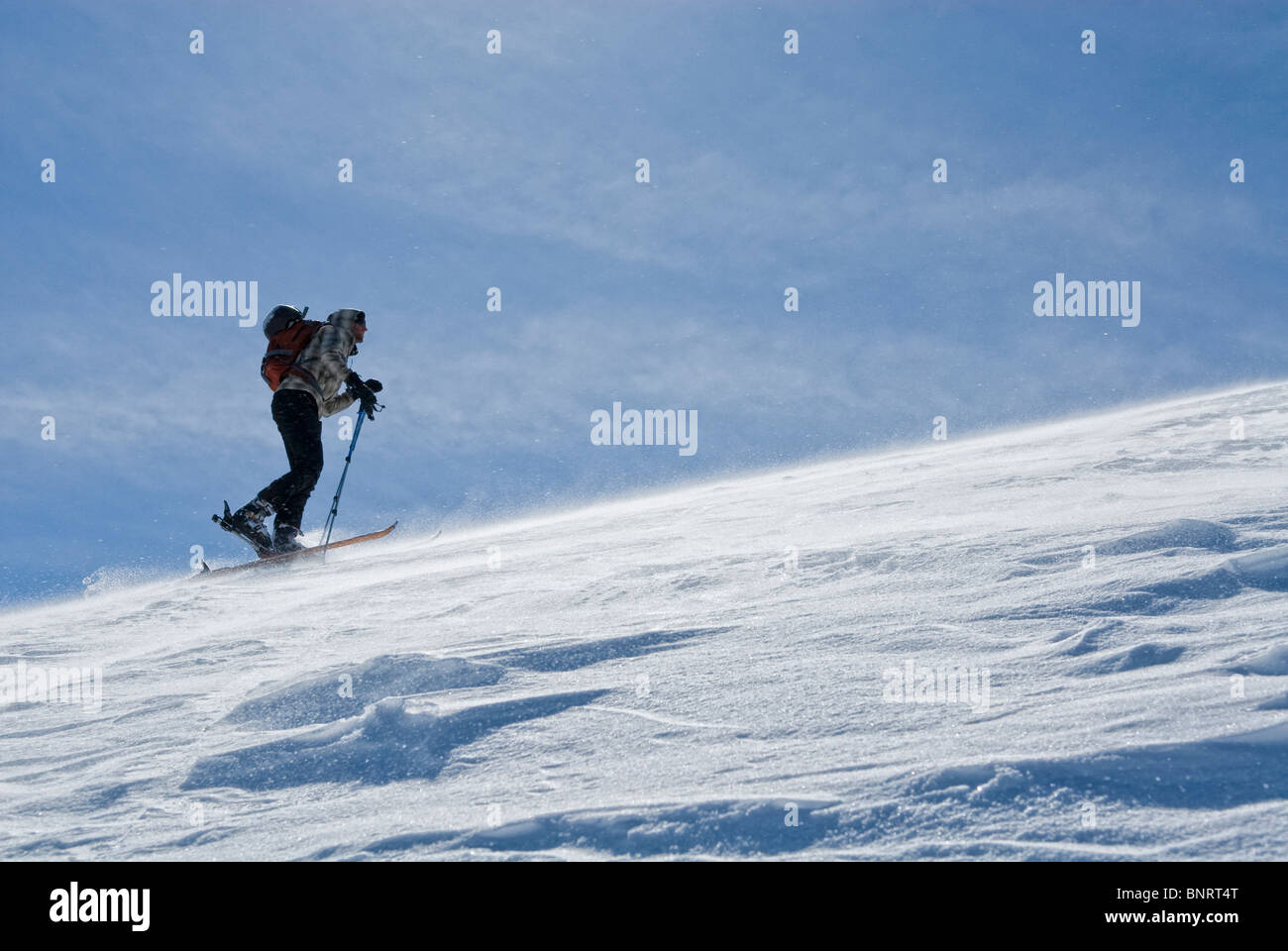 A young man skins up to the windy summit, while on a day of touring in ...