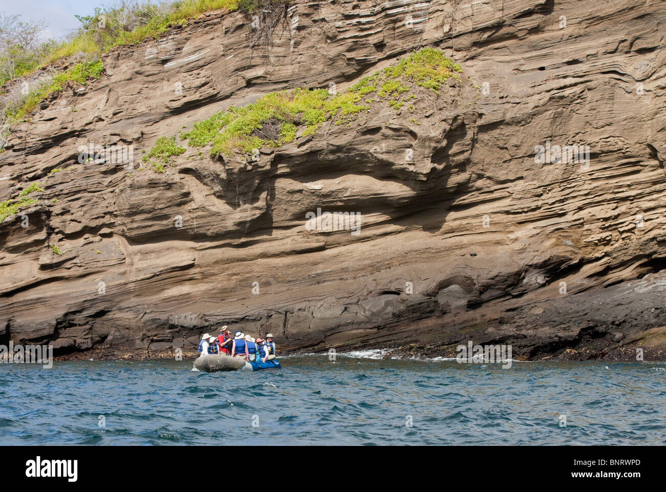 Galápagos isabela island tagus cove hi-res stock photography and images ...