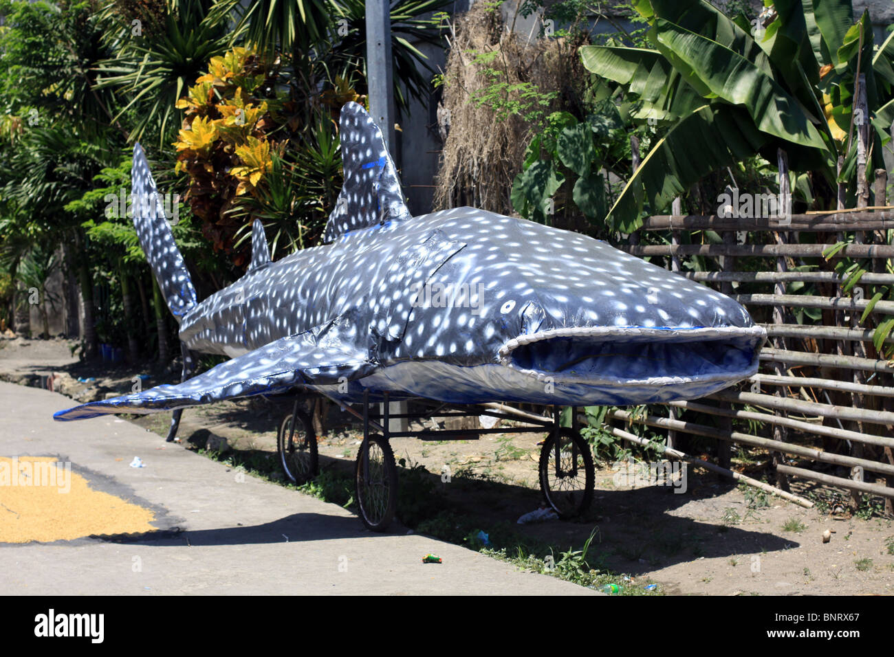 Whale shark in the philippines hi-res stock photography and images - Alamy