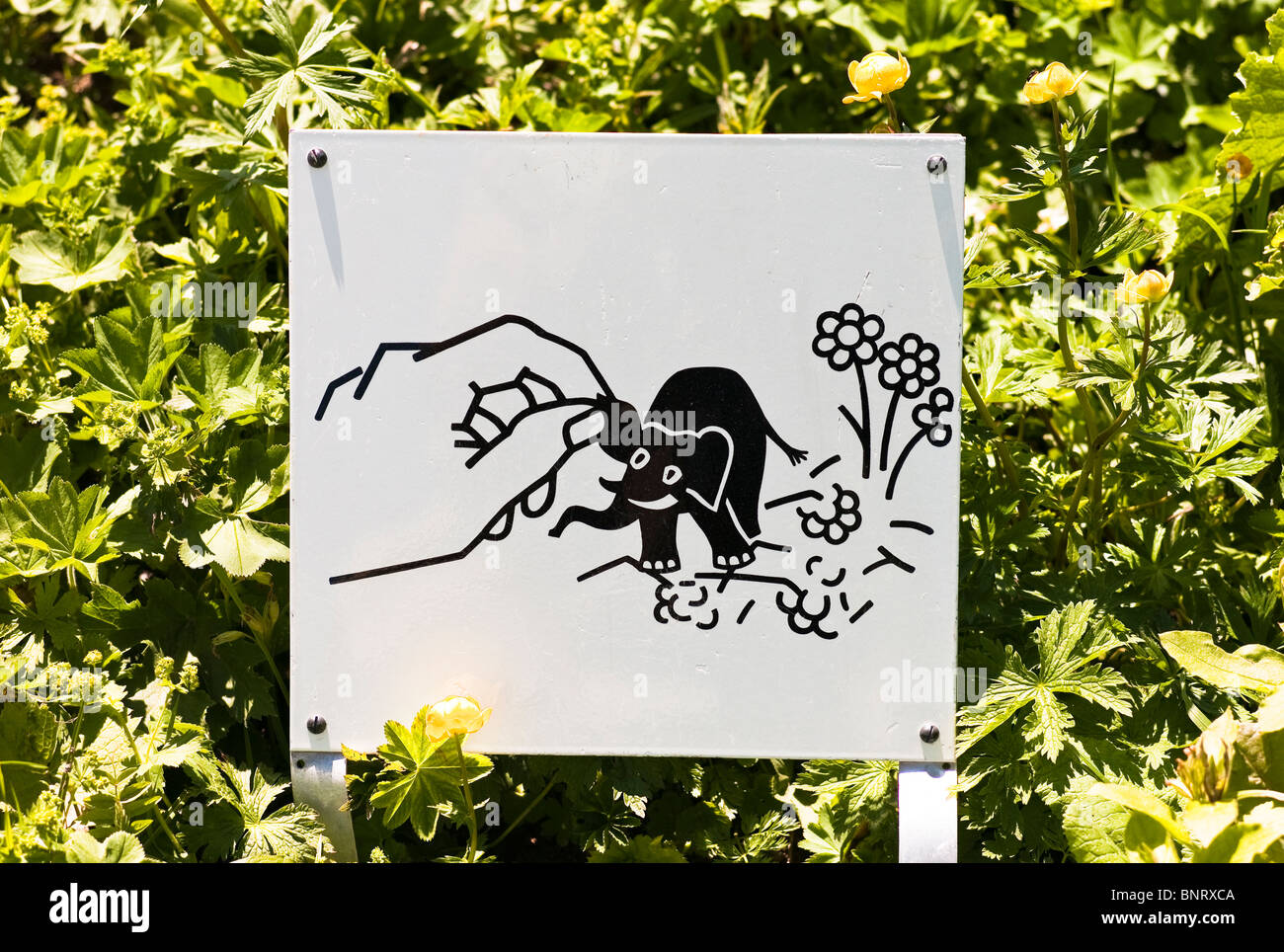 Risk avoidance cartoon hi-res stock photography and images - Alamy