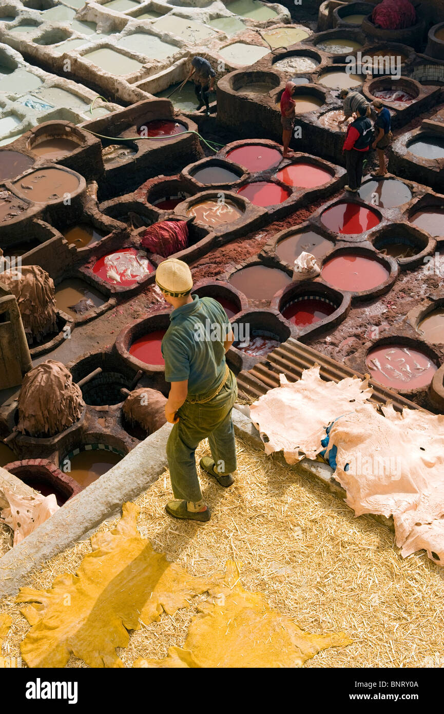 Leather processing by tanneries hi-res stock photography and images - Alamy
