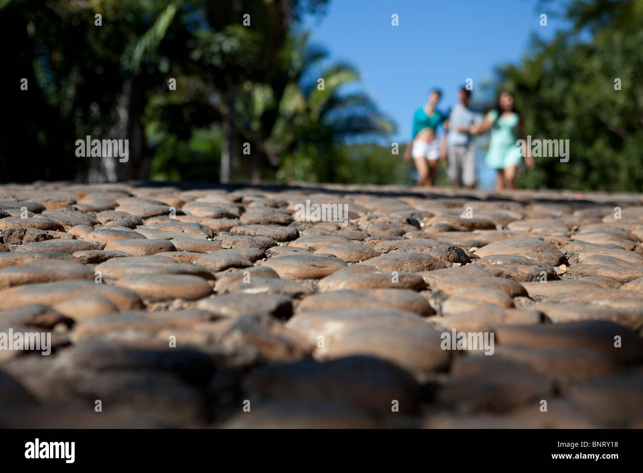 Three young adults stroll down a sunny cobble stone street Stock Photo ...