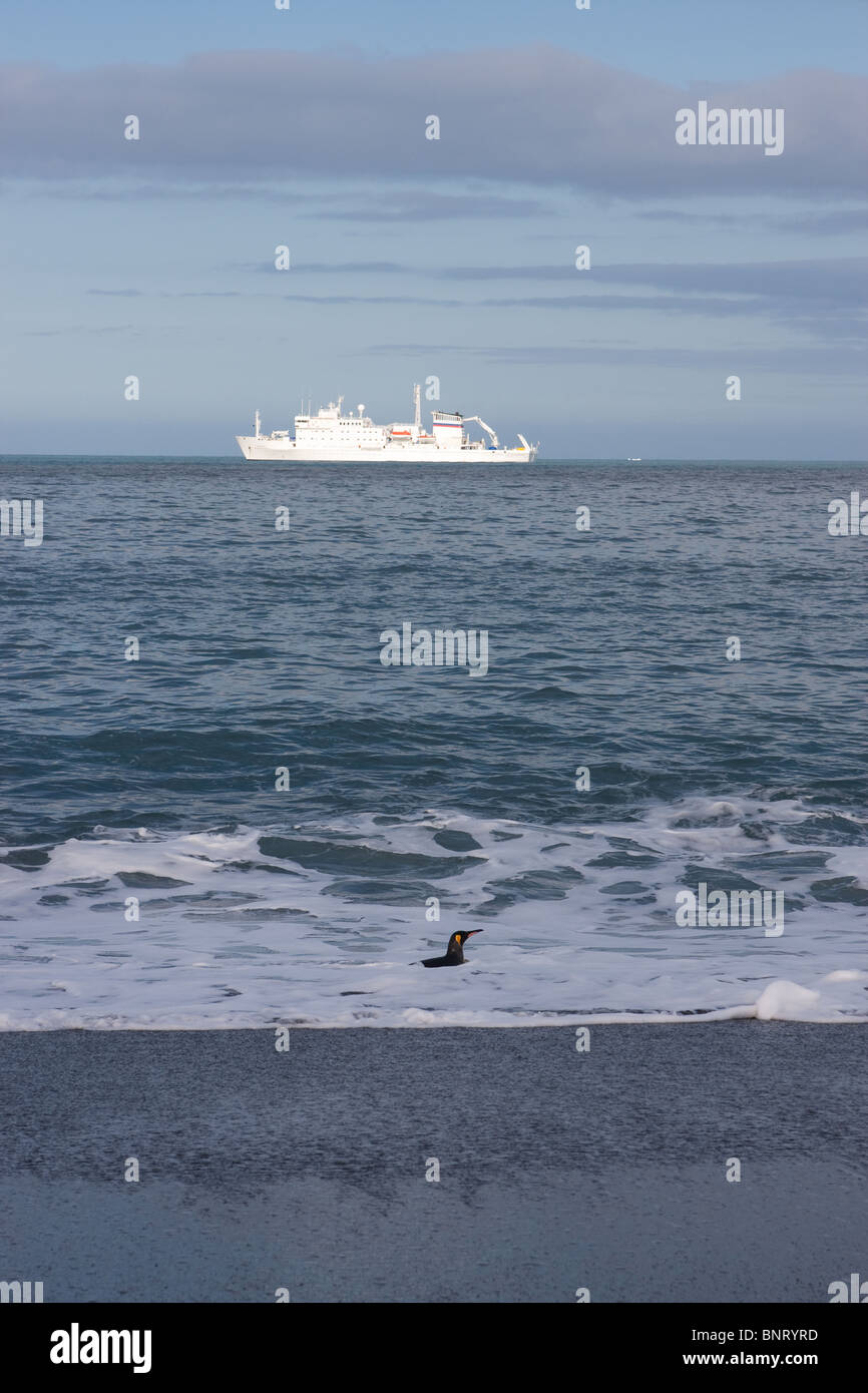 Antarctica penguin ship tourism hi-res stock photography and images - Alamy