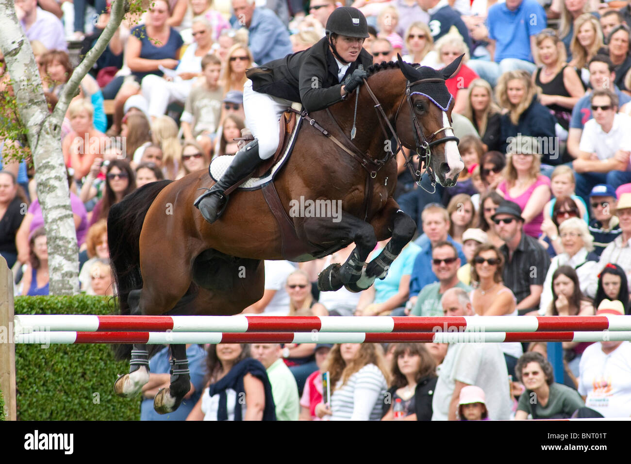 Hickstead water jump hi-res stock photography and images - Alamy