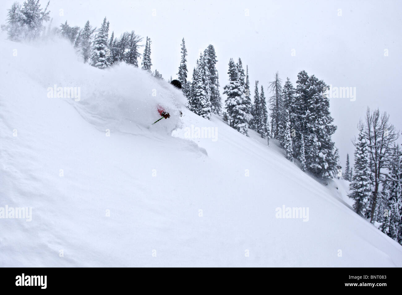 A man skis in powder snow on Teton Pass Stock Photo - Alamy