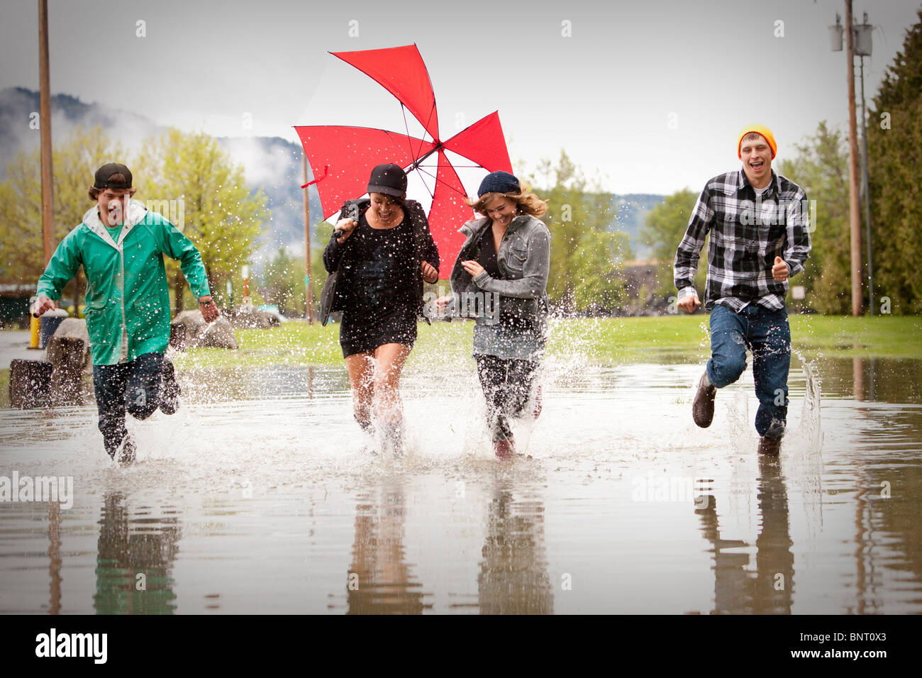 Four young adults laugh while running through a large puddle Stock ...
