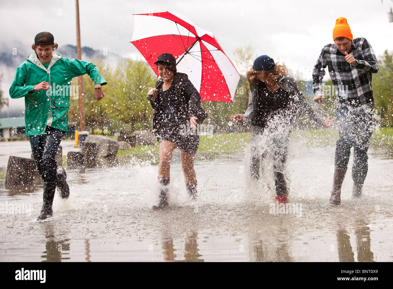 Four young adults laugh while running through a large puddle Stock ...