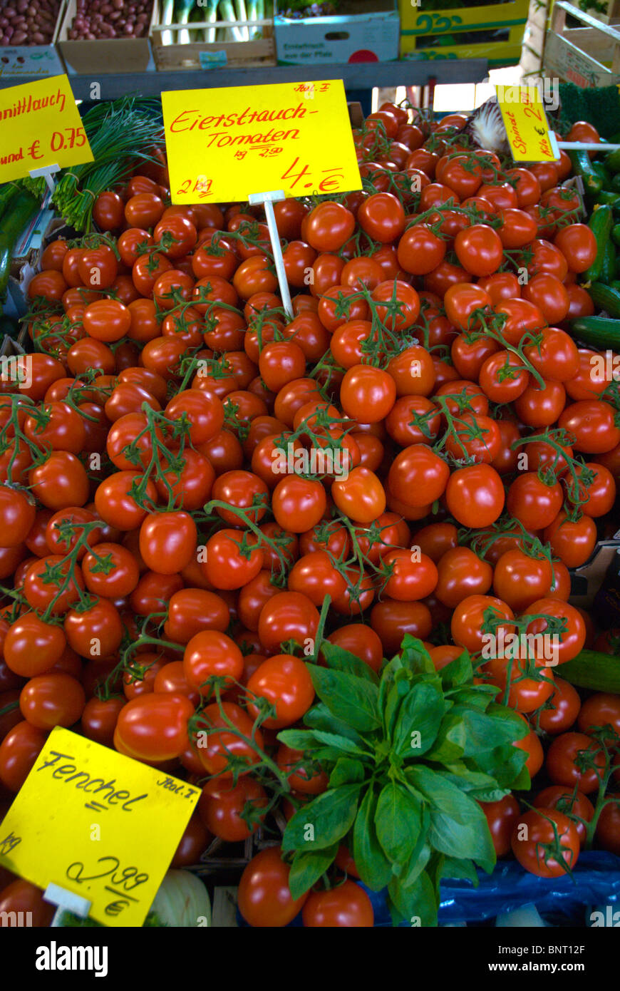 Tomato Capital High Resolution Stock Photography and Images - Alamy