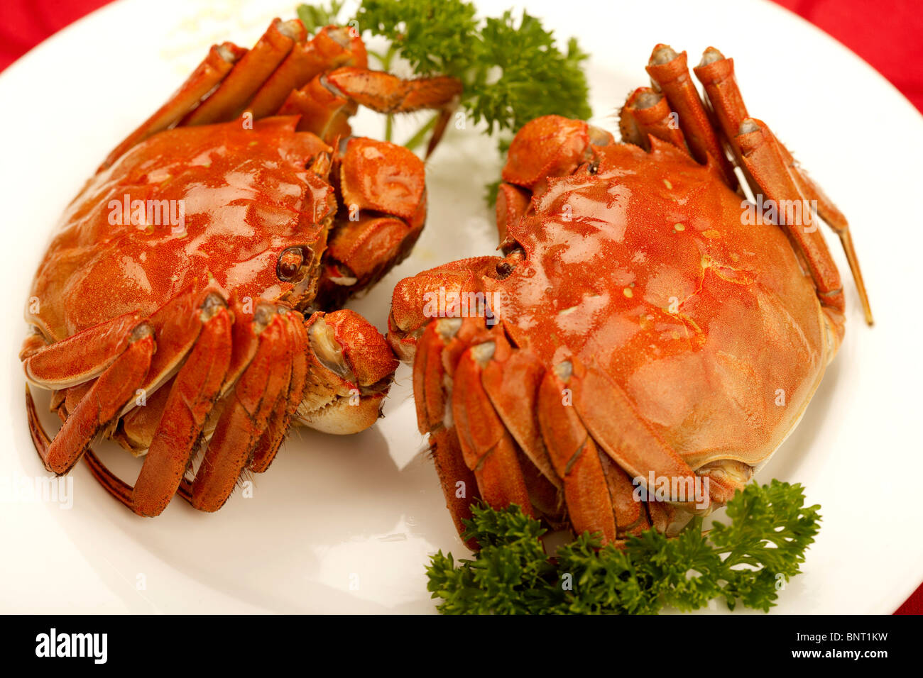 Crabs in plate Stock Photo - Alamy