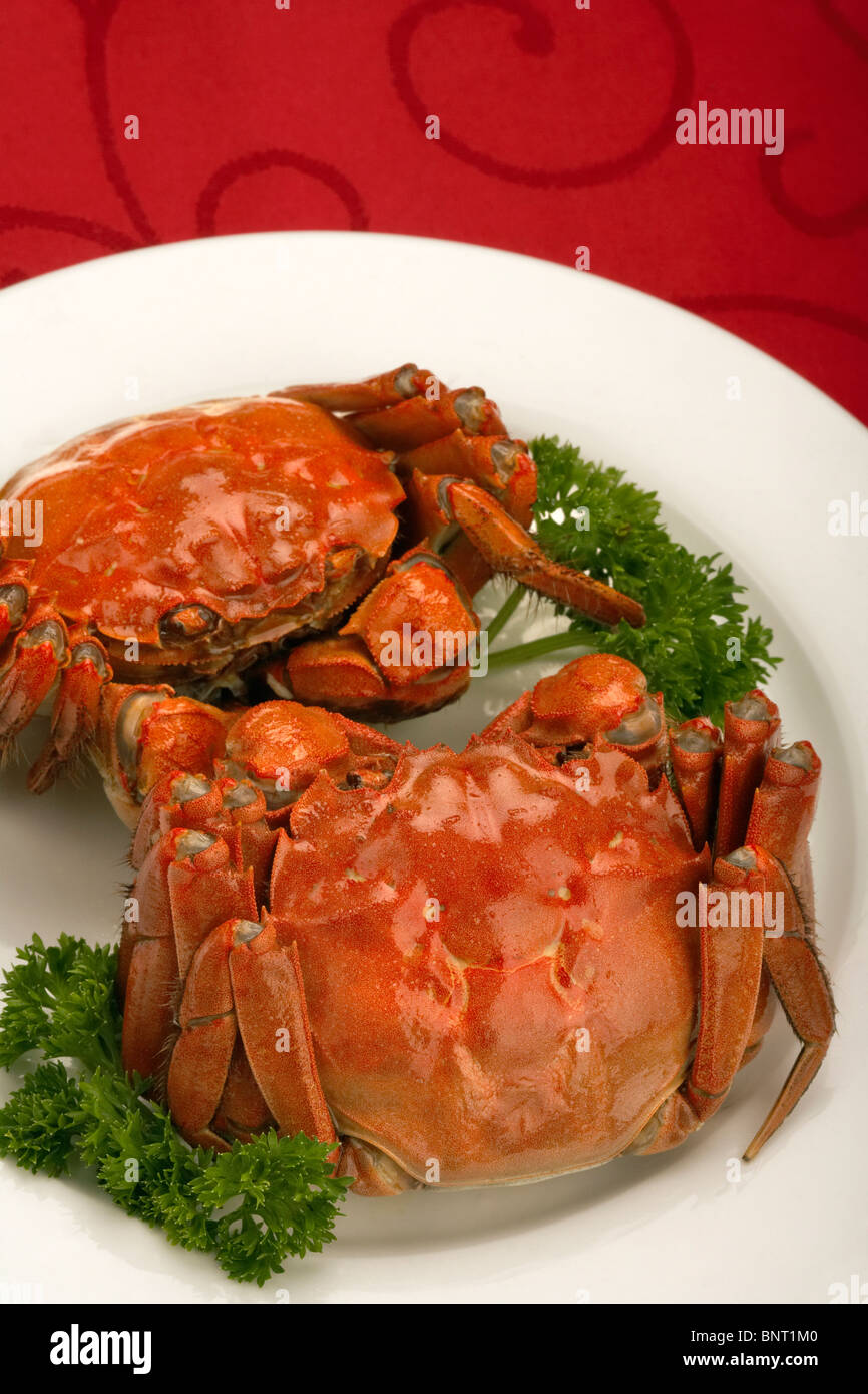 Crabs in plate Stock Photo - Alamy