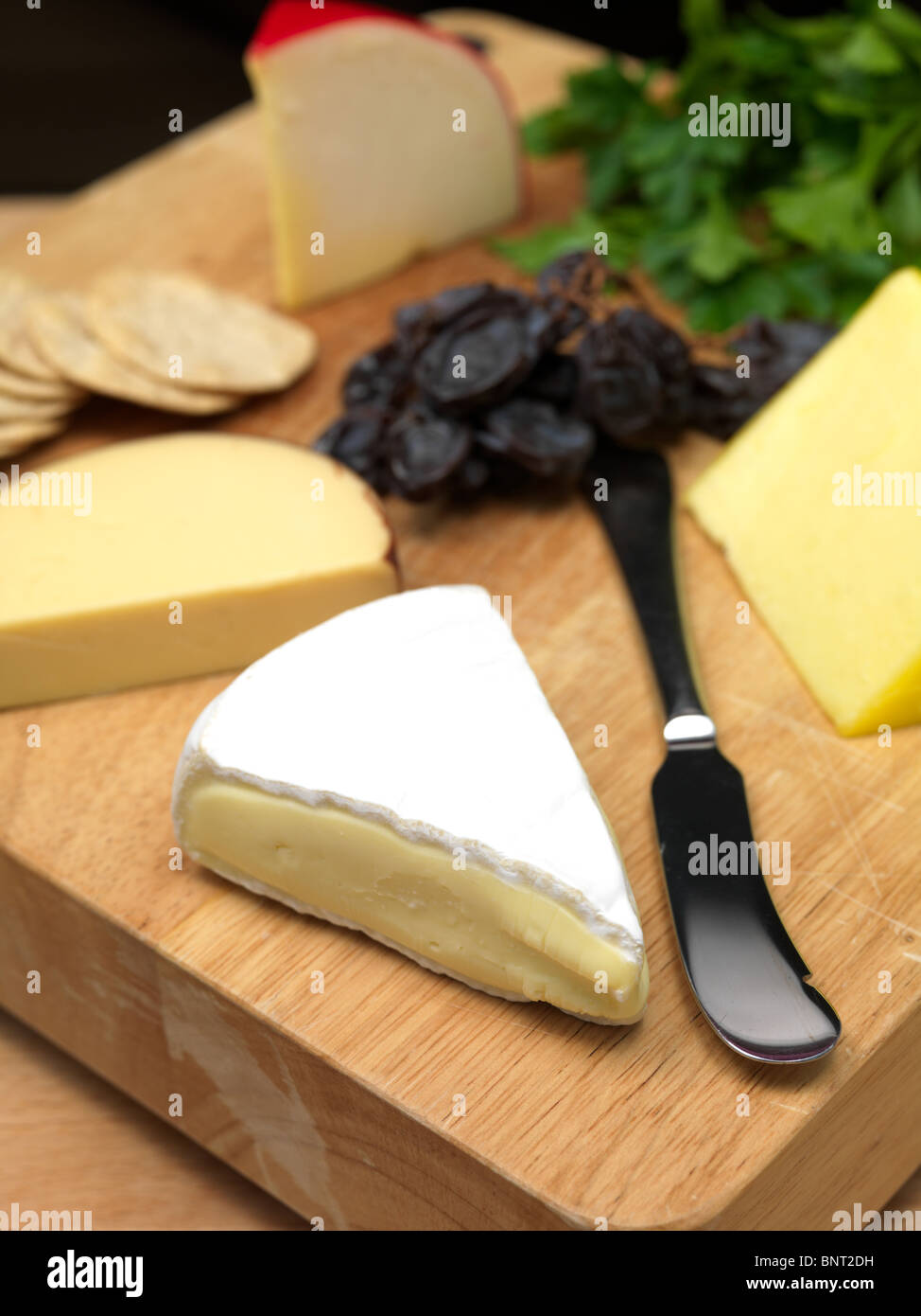 A selection of cheeses with crakers Stock Photo - Alamy