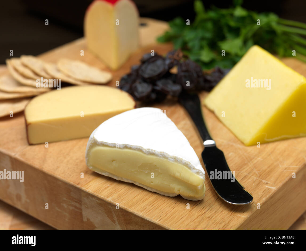 Cheese selection isolated cheddar brie hi-res stock photography and ...