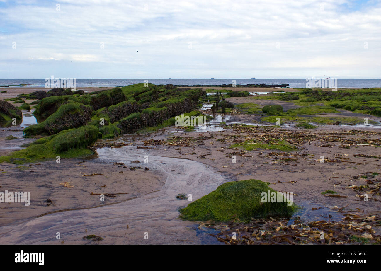 ROCK POOLS AND EBBING TIDE AT SEATON CAREW BEACH Stock Photo - Alamy