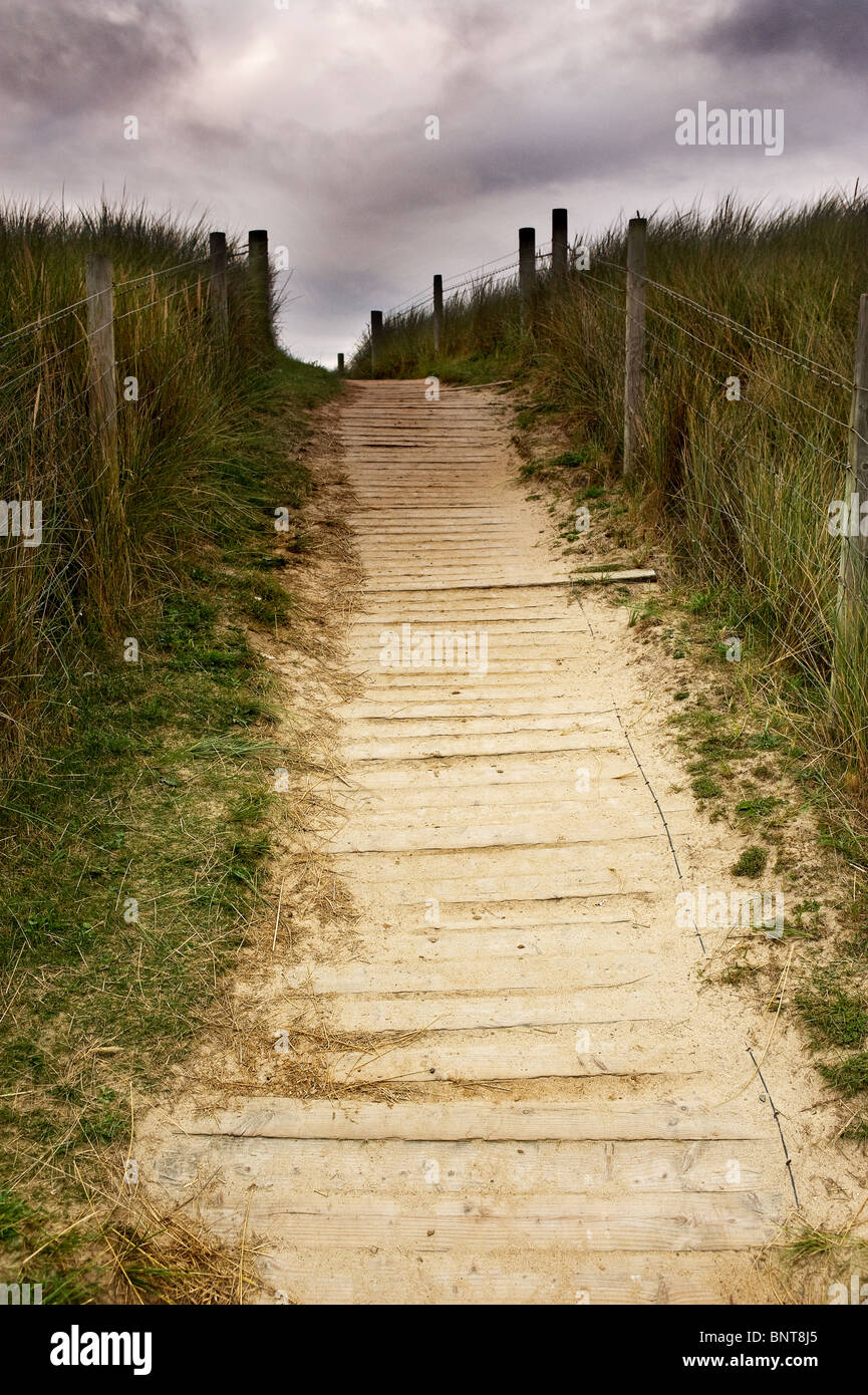 A wooden walkway through sand dunes covered with Marram Grass in ...