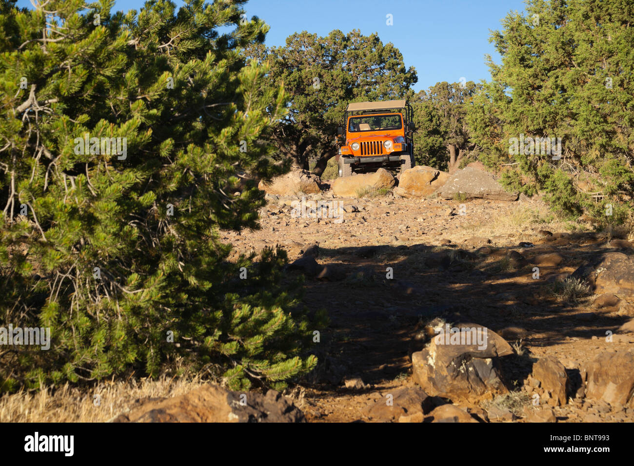 4x4 offroad trail hi-res stock photography and images - Alamy