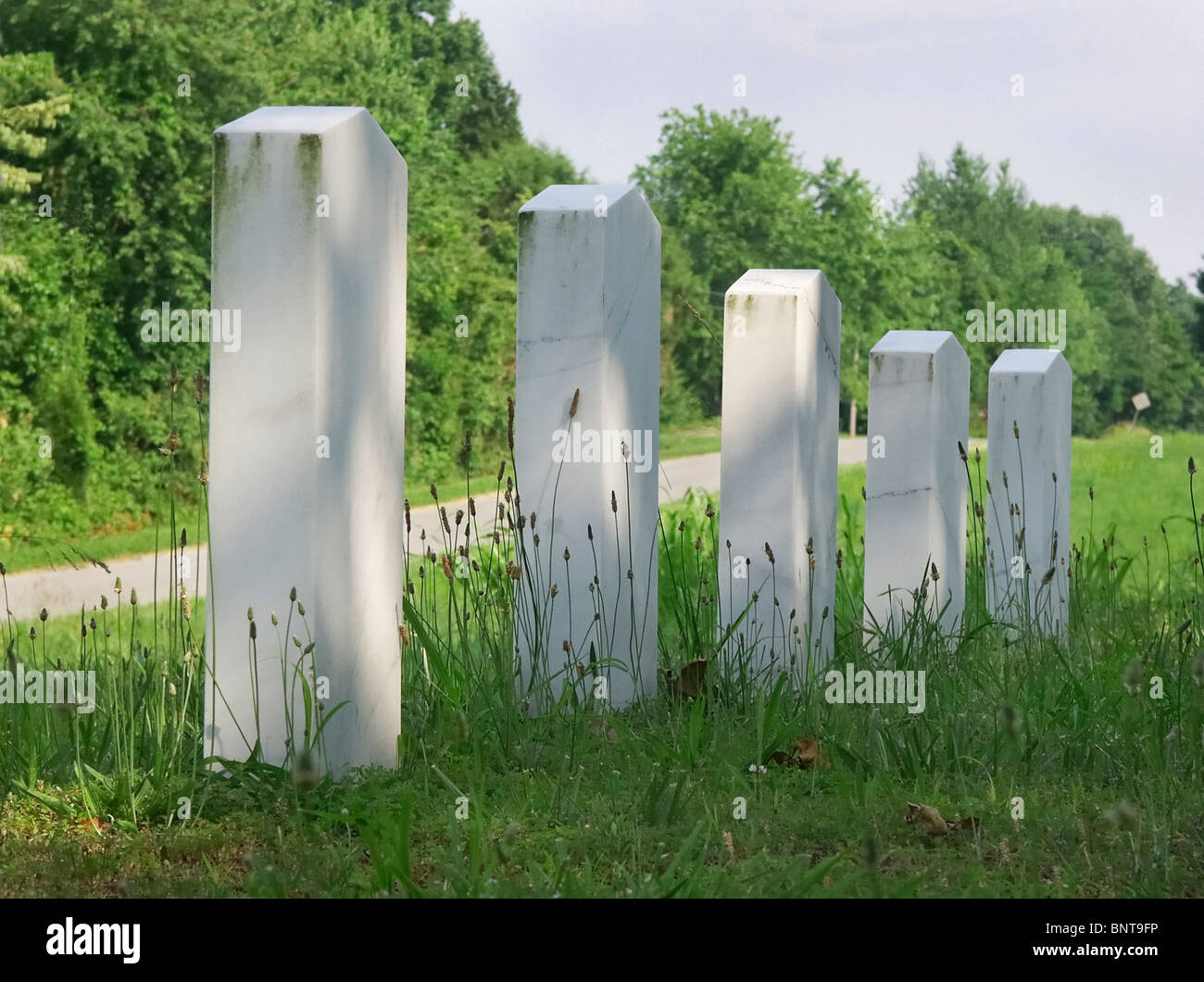 Cemetery marking fallen Confederate CSA soldiers from the 1863 Tebbs ...