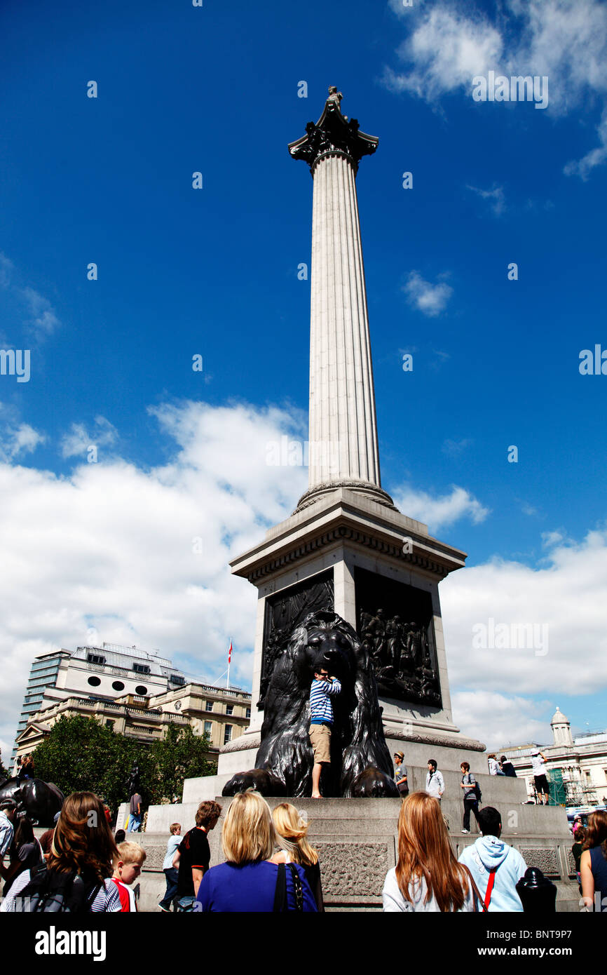 Nelson's Column in Trafalgar Square London England UK Stock Photo - Alamy