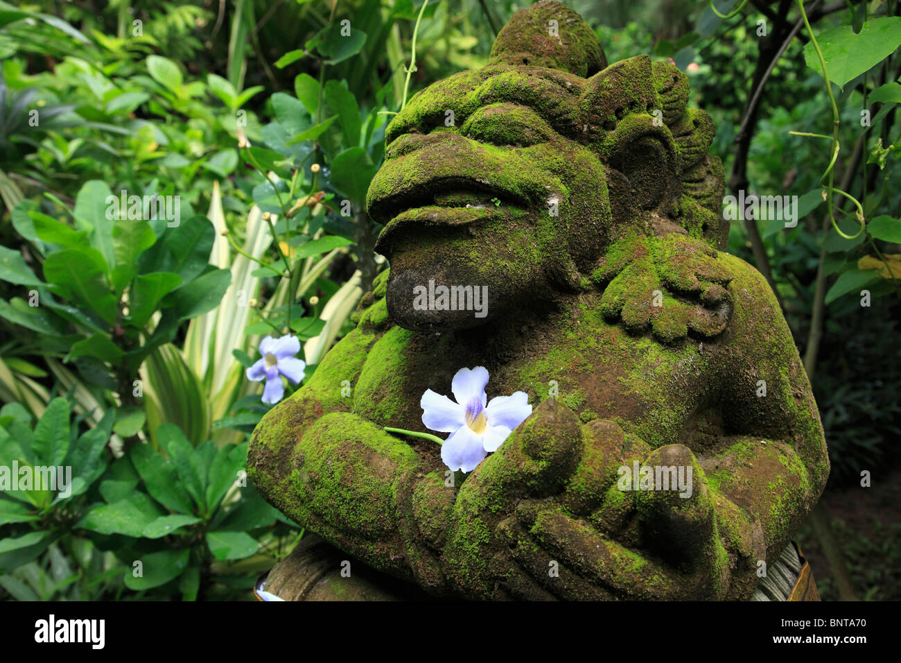 Moss Covered Statue High Resolution Stock Photography and Images - Alamy