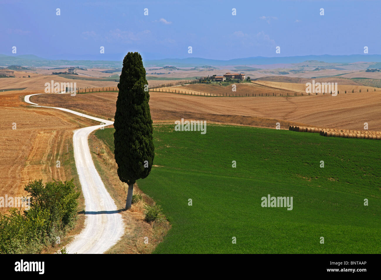 Tuscany cypress tree road hi-res stock photography and images - Alamy