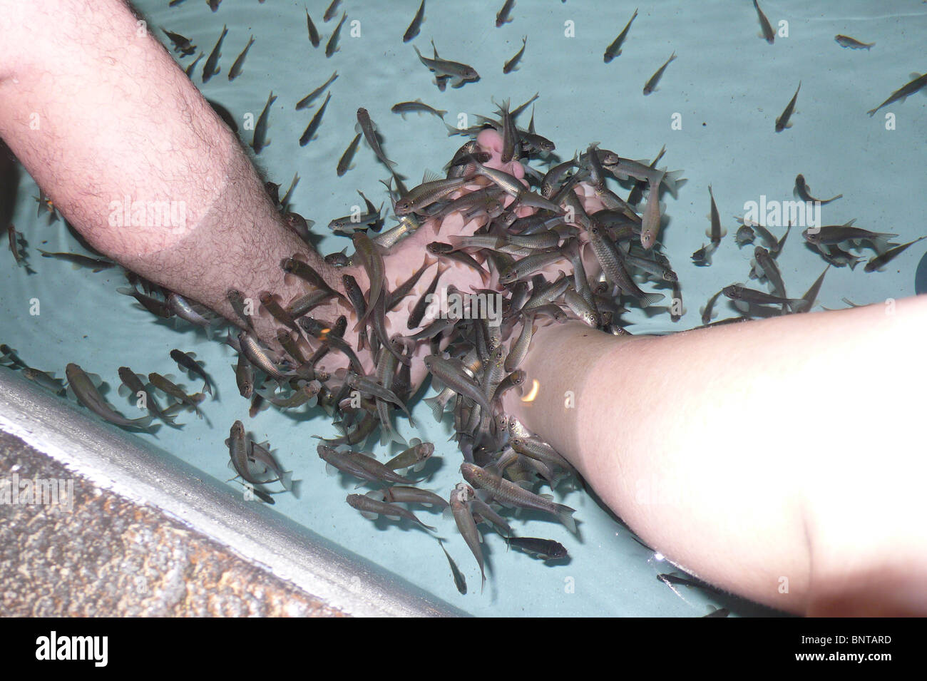 Fish spa hi-res stock photography and images - Alamy