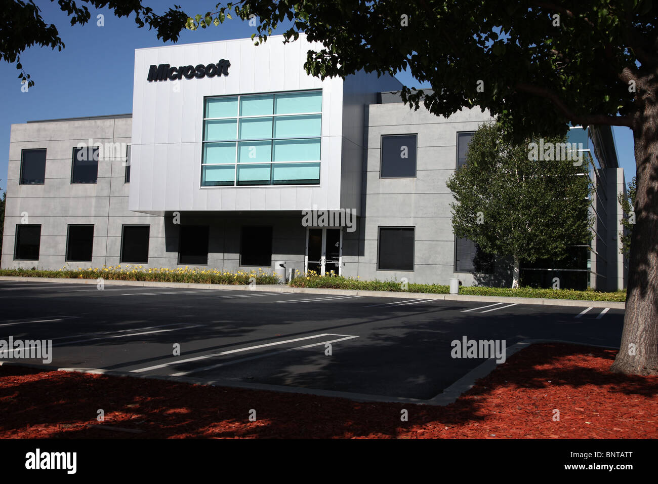 MICROSOFT OFFICES LOGO COMPUTER COMPANY OFFICES MOUNTAIN VIEW ...