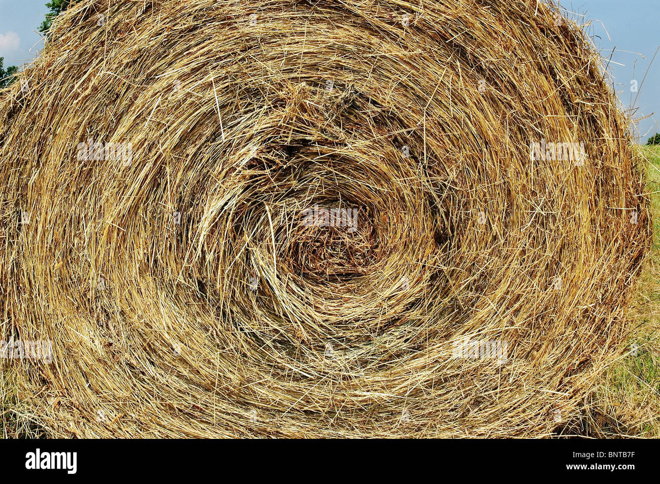 Hay roll, Columbia,KY Stock Photo - Alamy