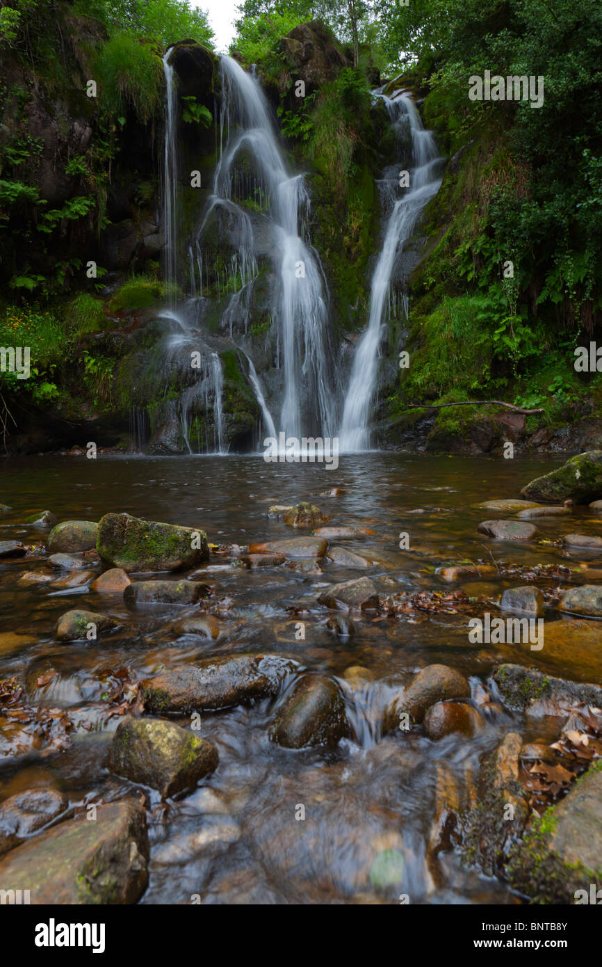 Posforth Gill, Valley Of Desolation Stock Photo - Alamy