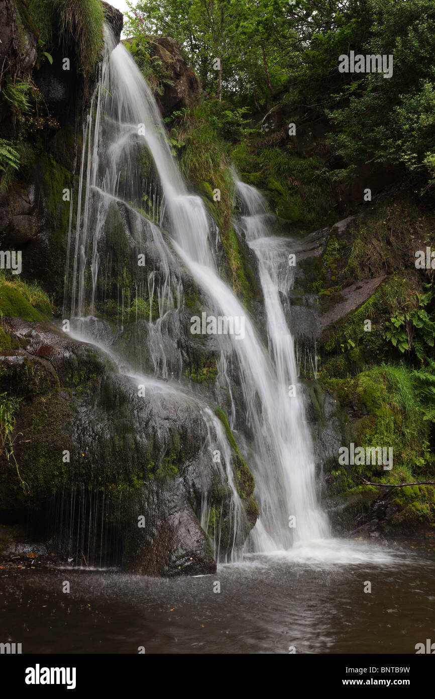 Posforth Gill, Valley Of Desolation Stock Photo - Alamy