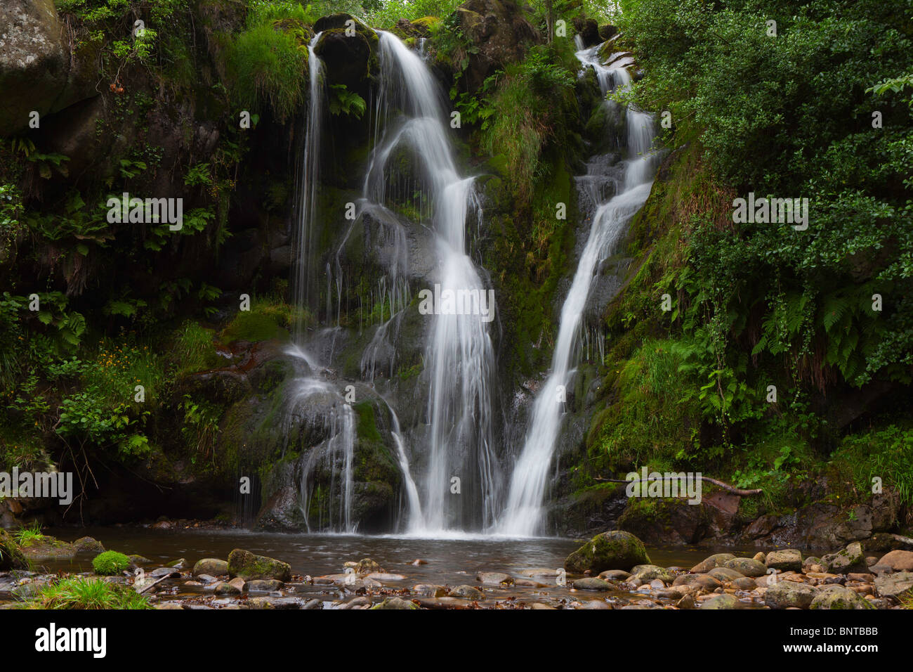 Posforth Gill, Valley Of Desolation Stock Photo - Alamy
