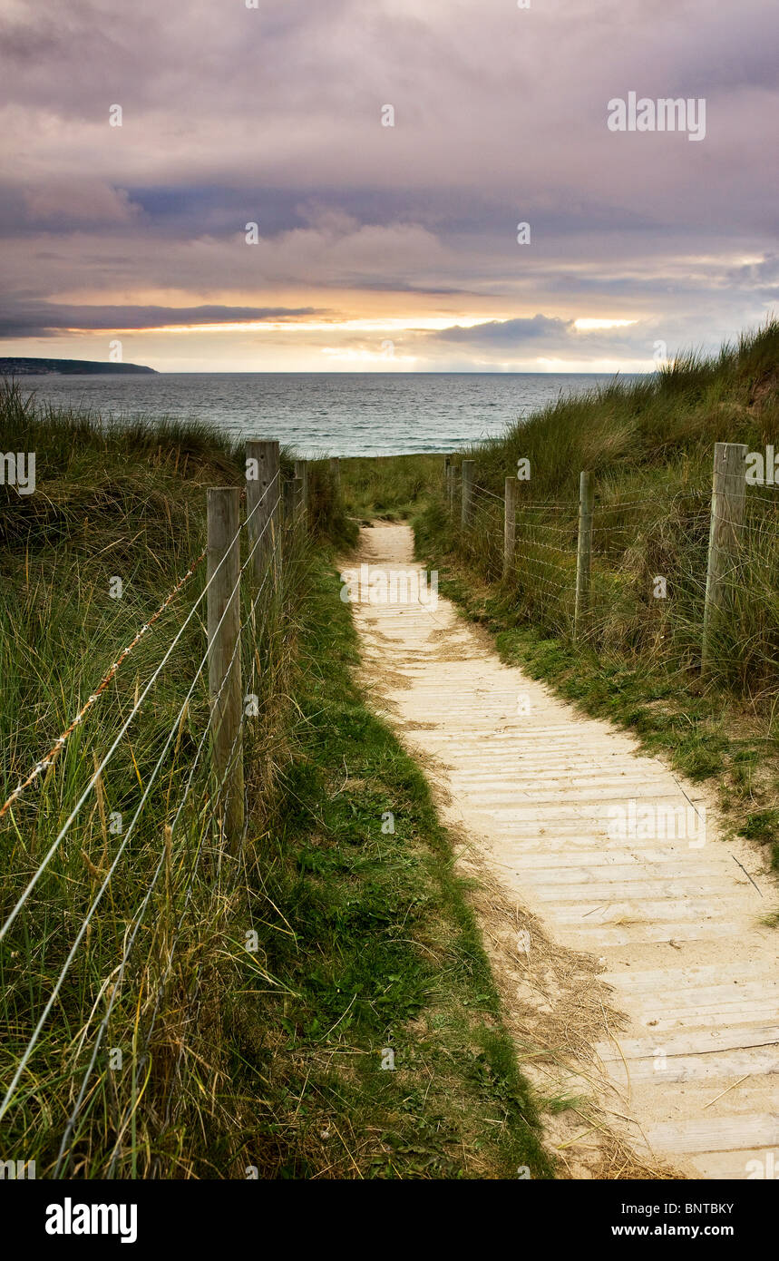 A wooden walkway through sand dunes covered with Marram Grass in ...
