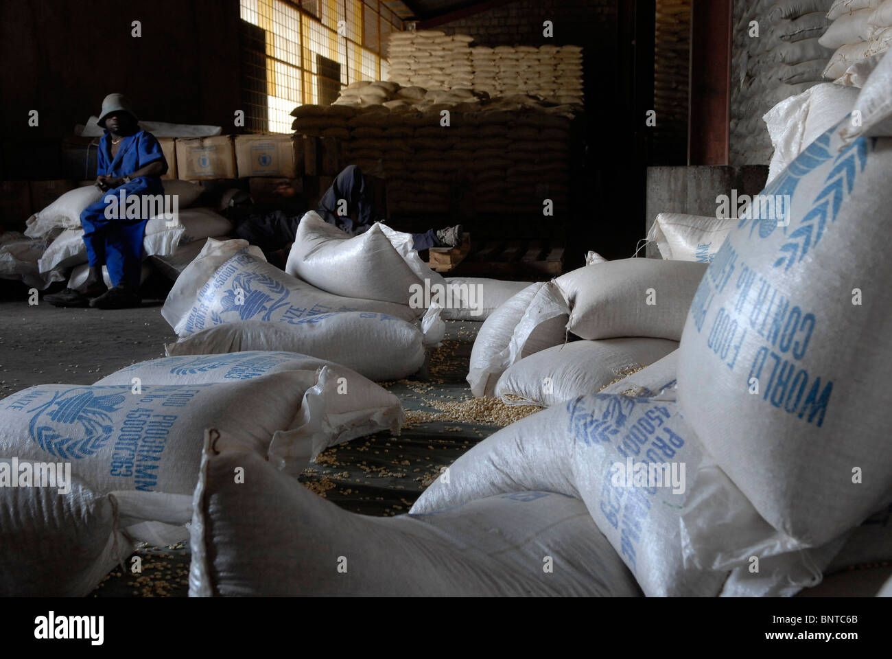 Employee of the World Food Programme WFP siting over sacks of basic ...