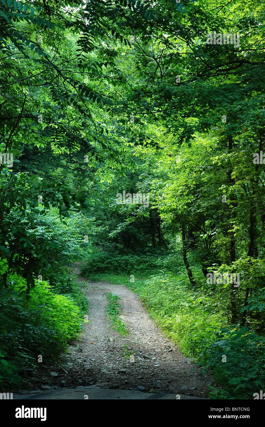 Old road alongside the Green River, Kentucky Stock Photo - Alamy