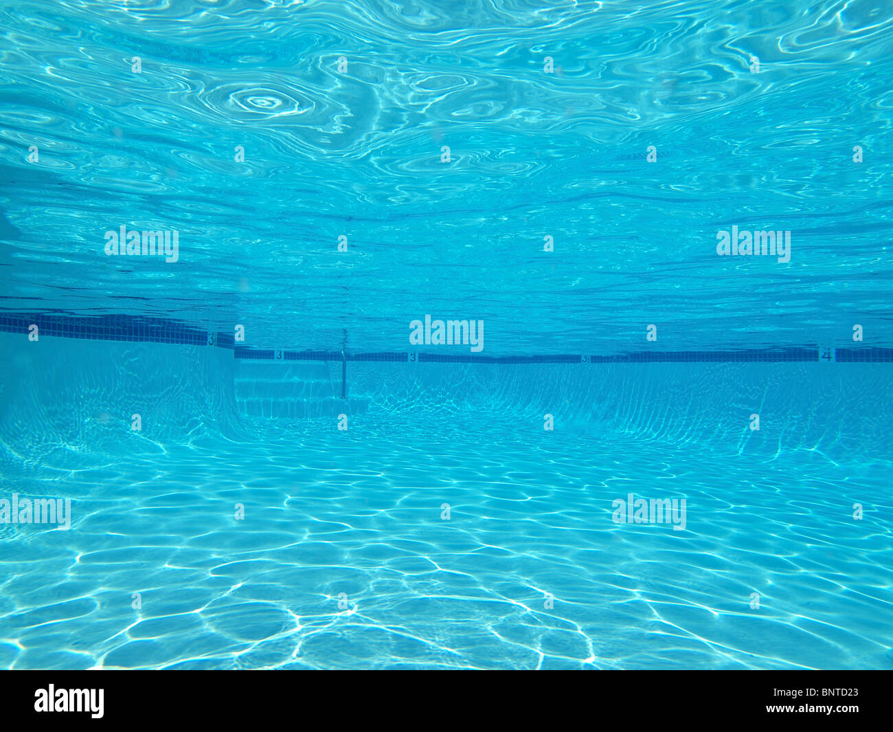 Underwater shot in a large, clean, friendly pool Stock Photo - Alamy