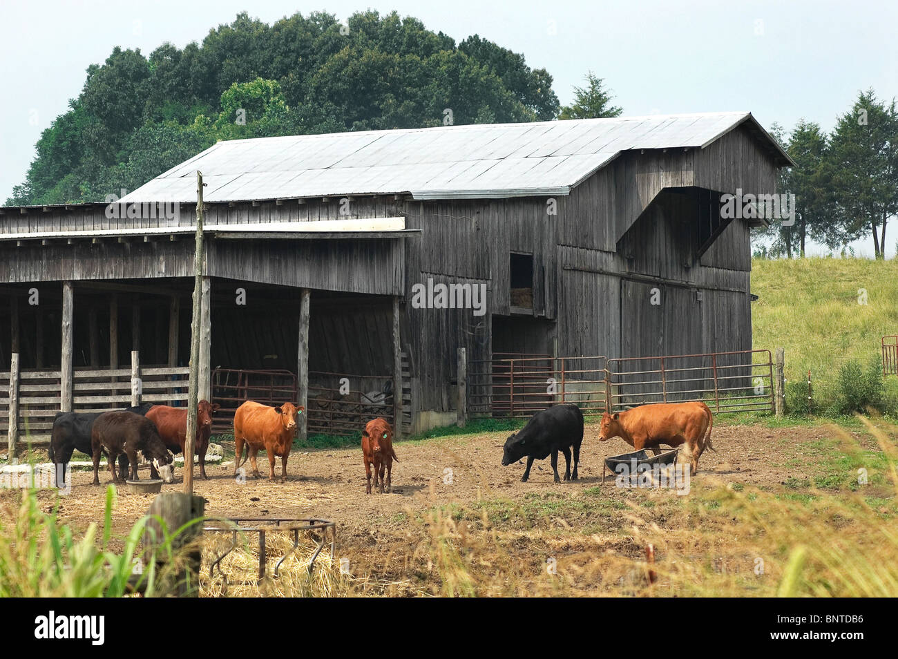 Kentucky barns hi-res stock photography and images - Alamy