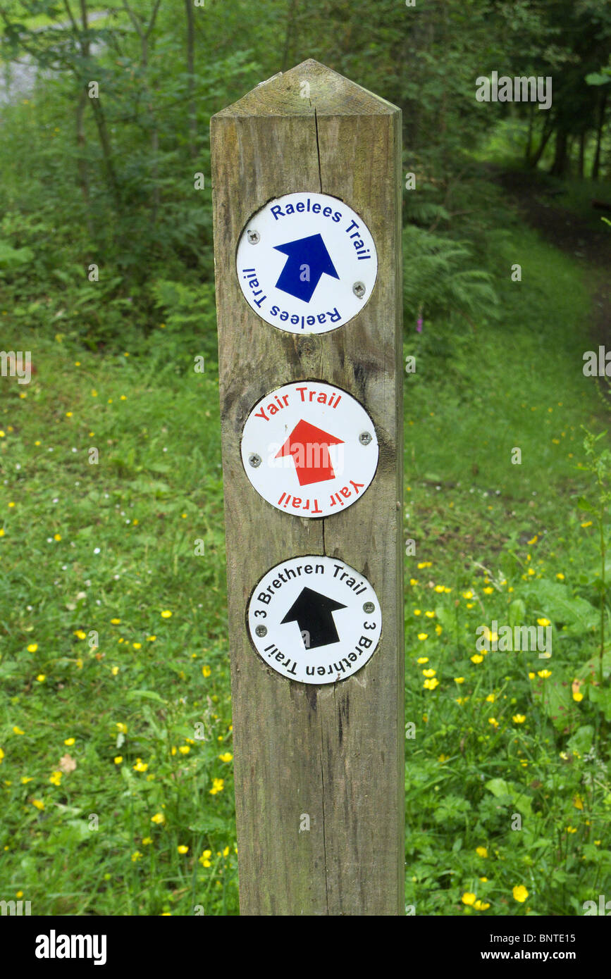 Forestry Commission Footpath Marker Posts Stock Photo - Alamy