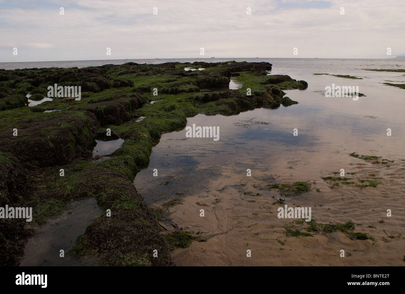 Tide pools in the rocks hi-res stock photography and images - Alamy