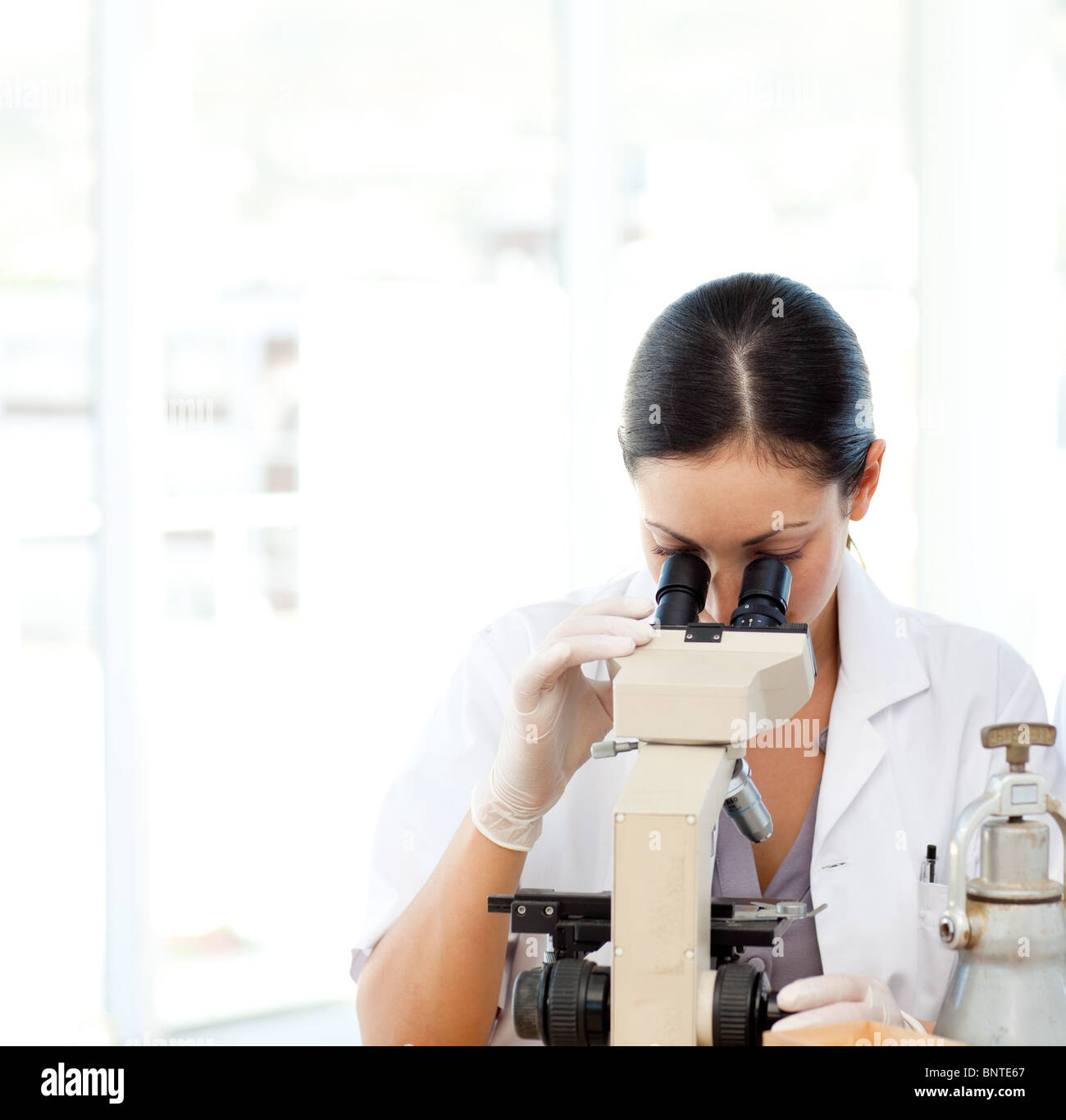 Scientists looking through a microscope Stock Photo - Alamy