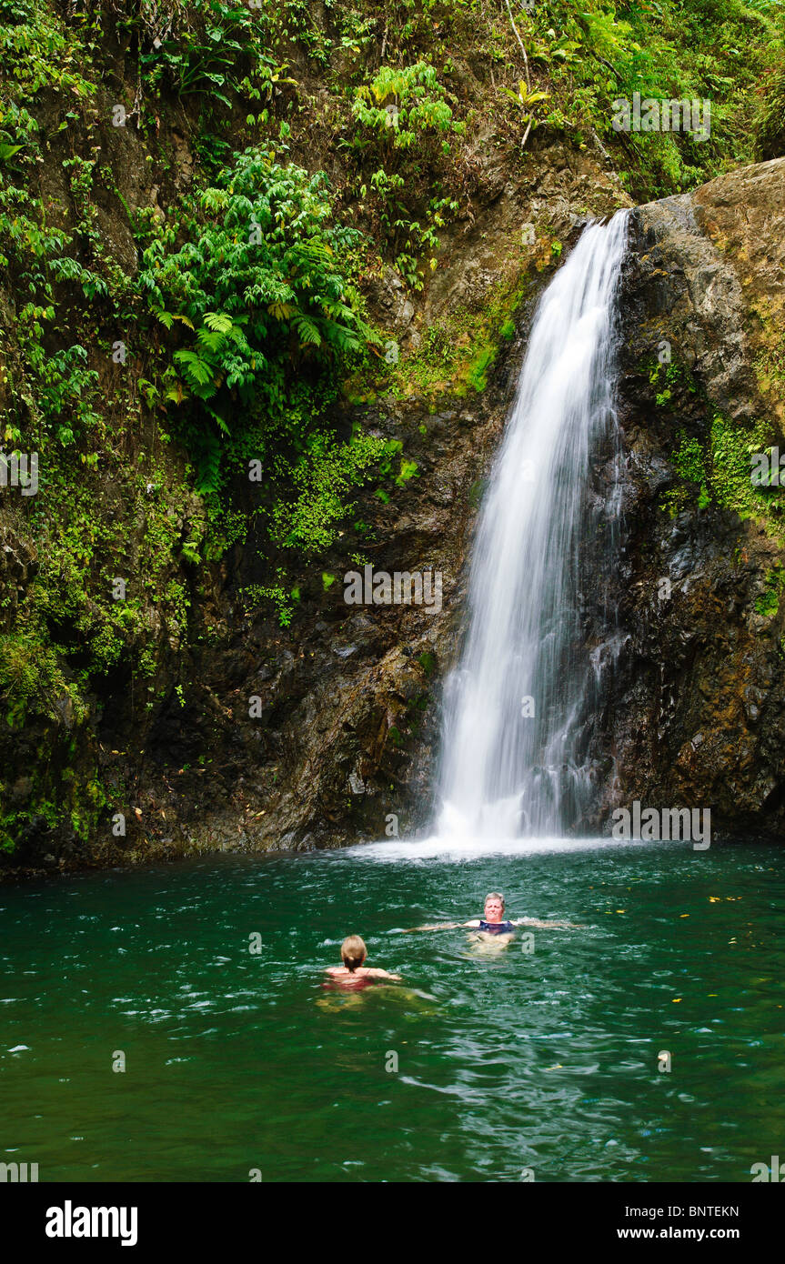Seven Sisters Waterfall, Grenada Stock Photo - Alamy