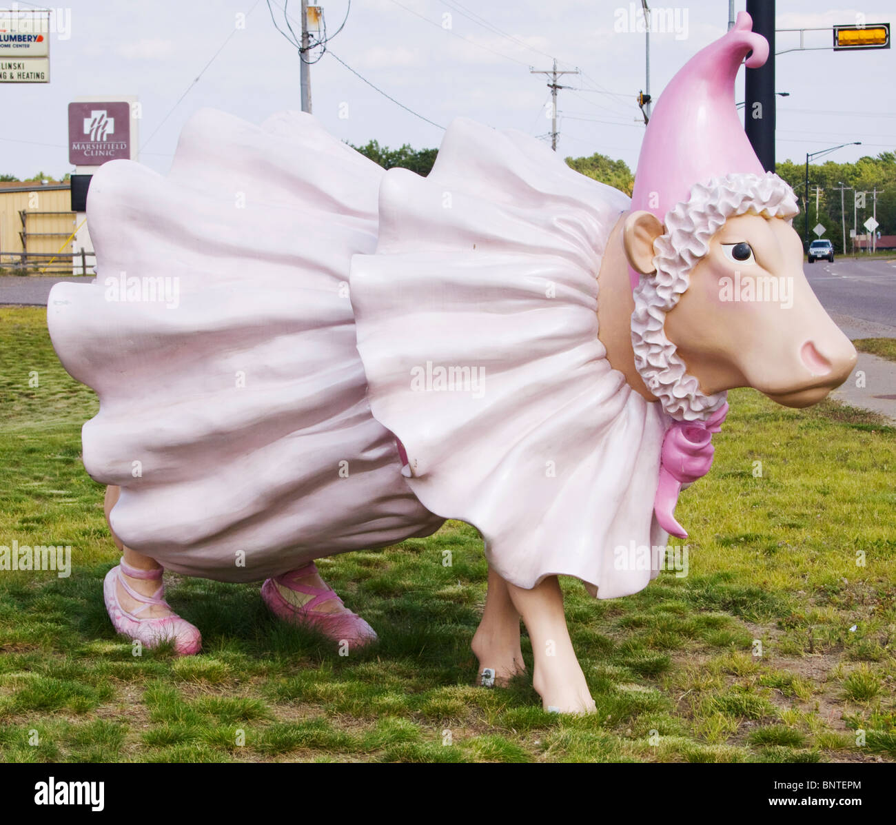 Dressed Up Cow High Resolution Stock Photography and Images - Alamy