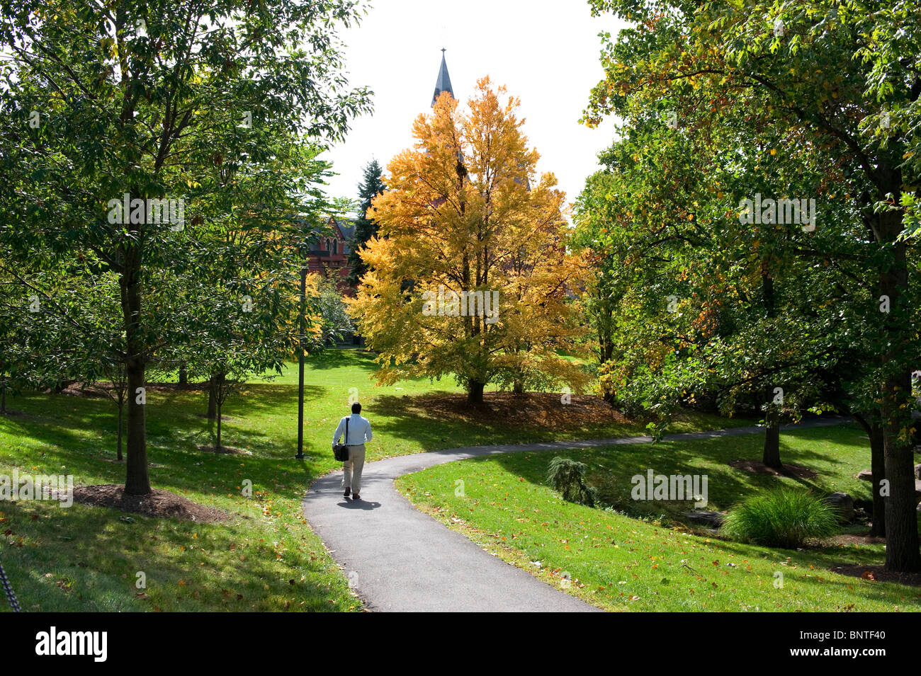 Student Walking on Cornell University Campus Ithaca New York Finger ...