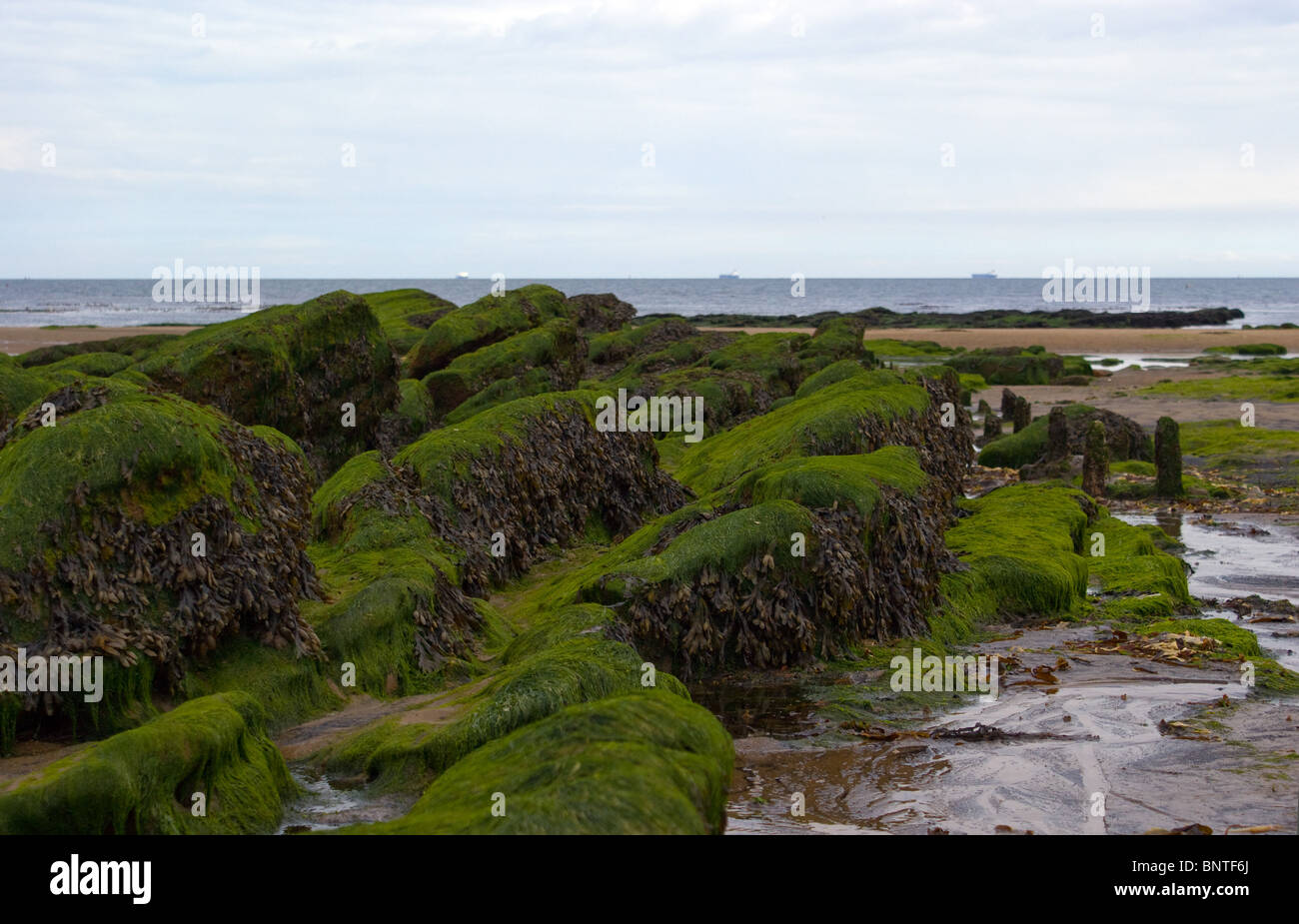 ROCK POOLS AND EBBING TIDE AT SEATON CAREW BEACH Stock Photo - Alamy