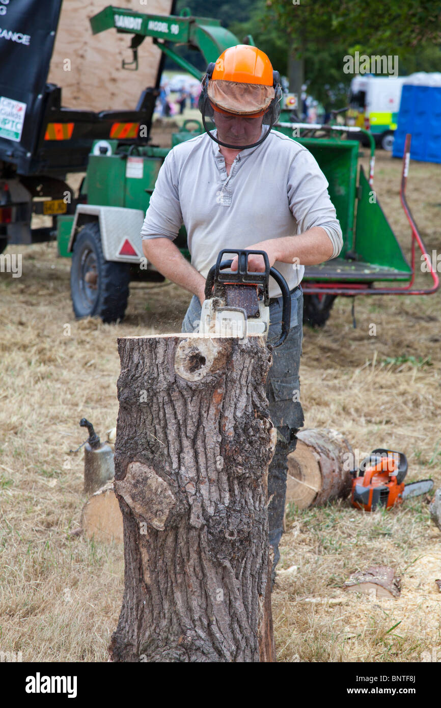 Lumberjack cutting up a tree with a chainsaw, sawdust coming off the ...