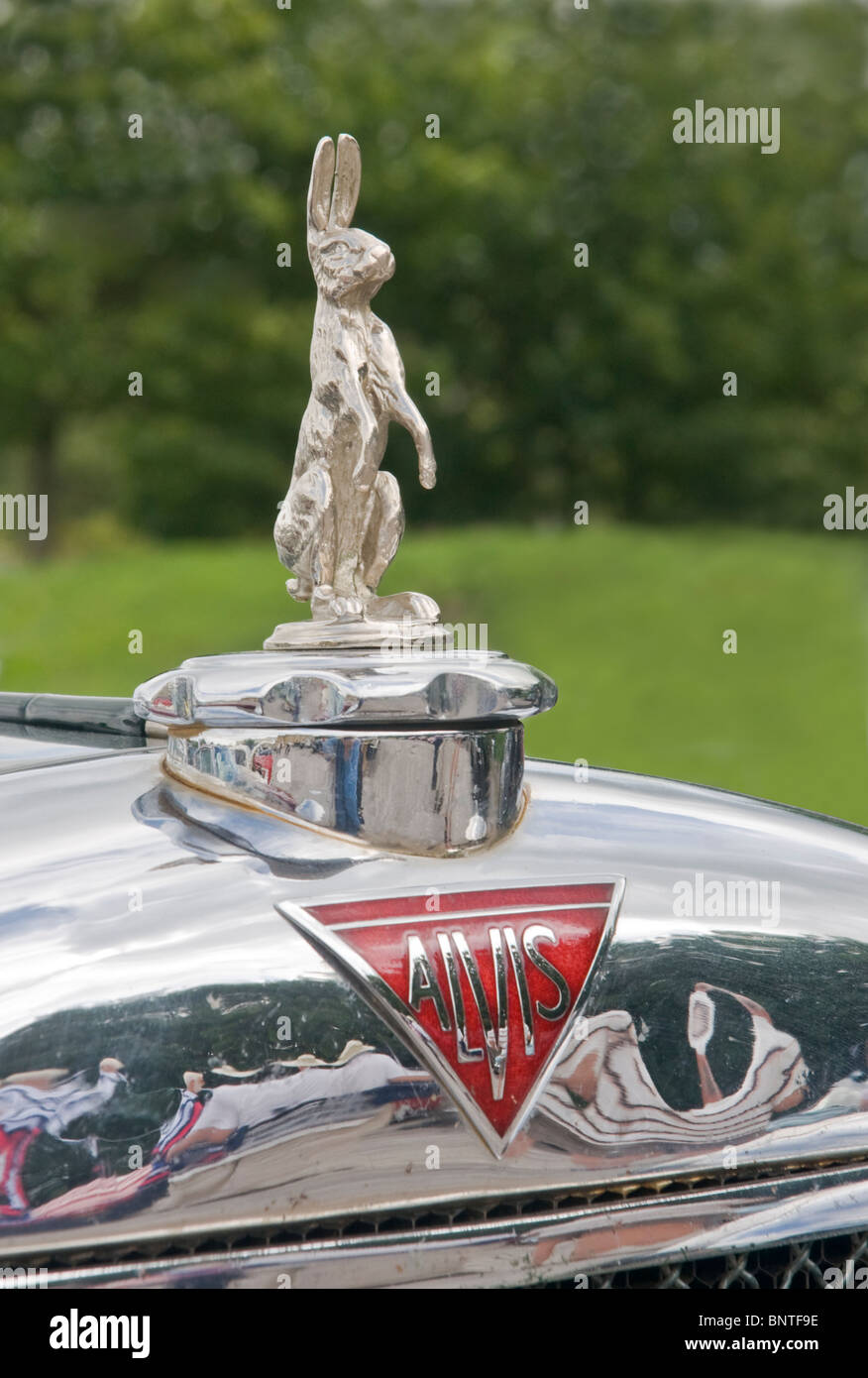 March hare hi-res stock photography and images - Alamy