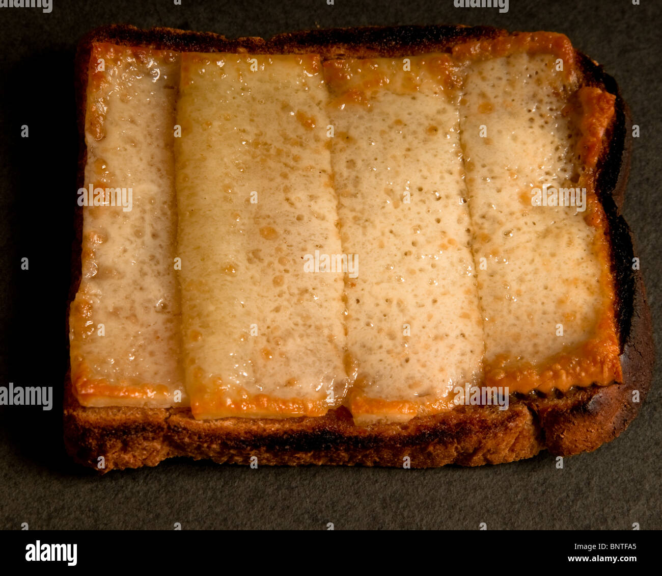 A slice of whole meal bread toasted and then covered with grilled and ...