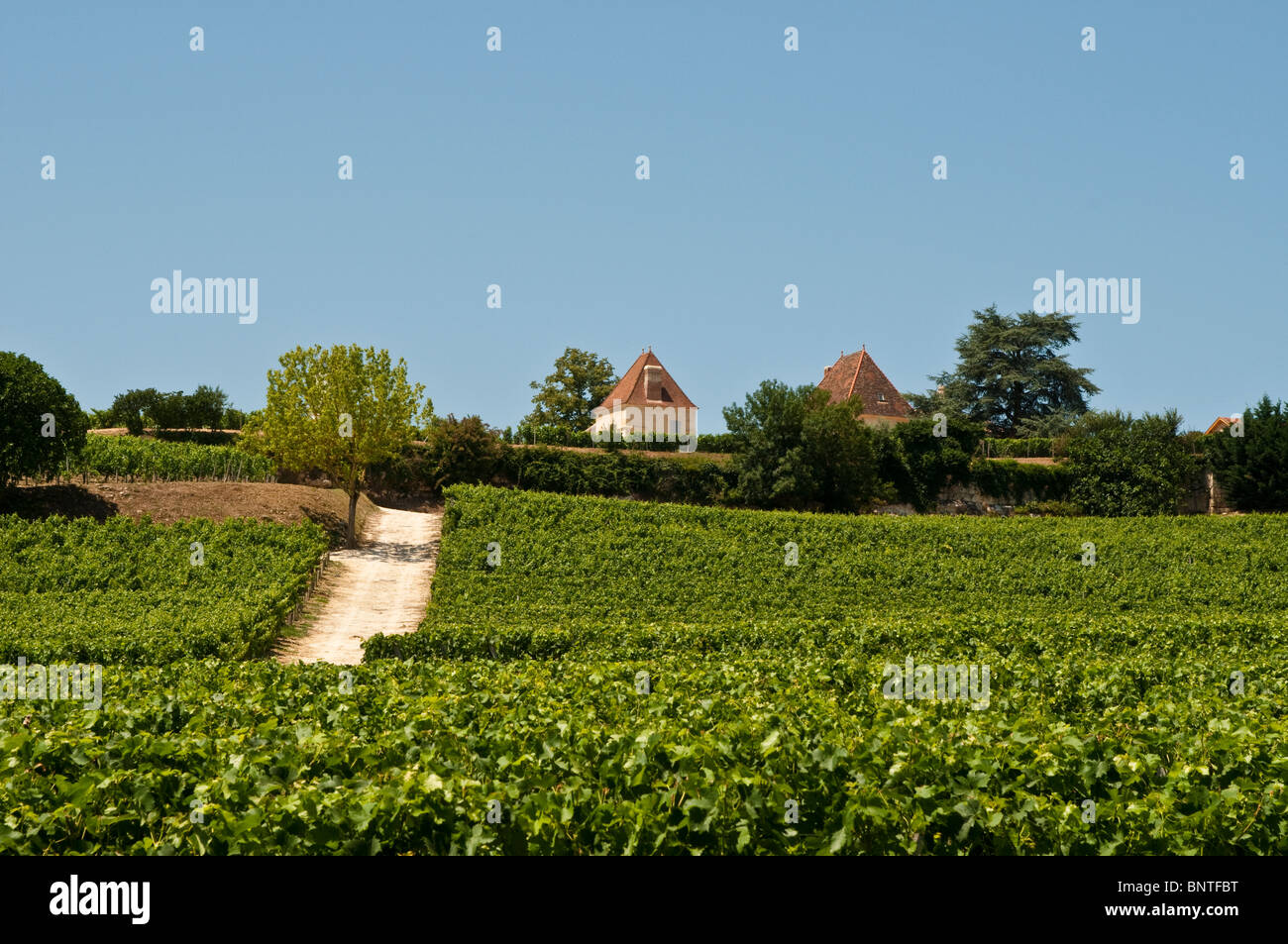 Bordeaux landscape france hi-res stock photography and images - Alamy
