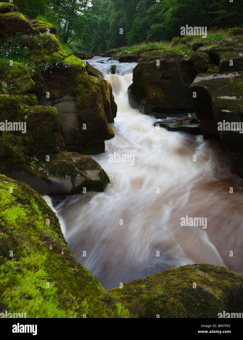 The strid hi-res stock photography and images - Alamy
